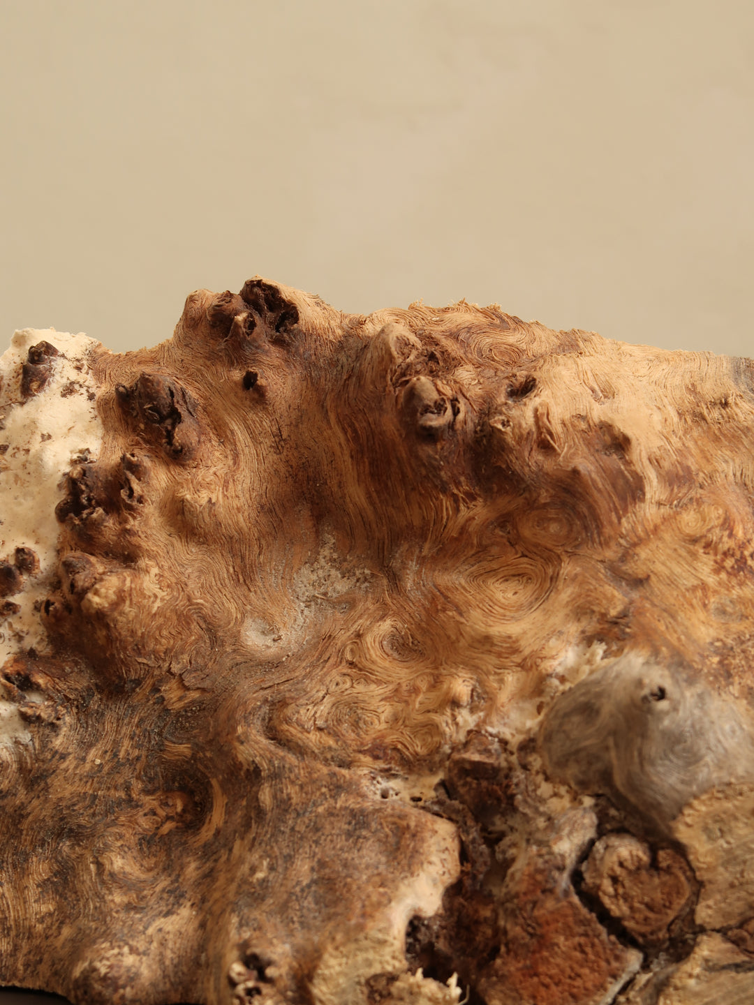 Fragrance – Andrea Tsang