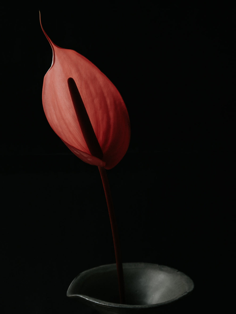 ANDREA TSANG Official Online Store – Andrea Tsang